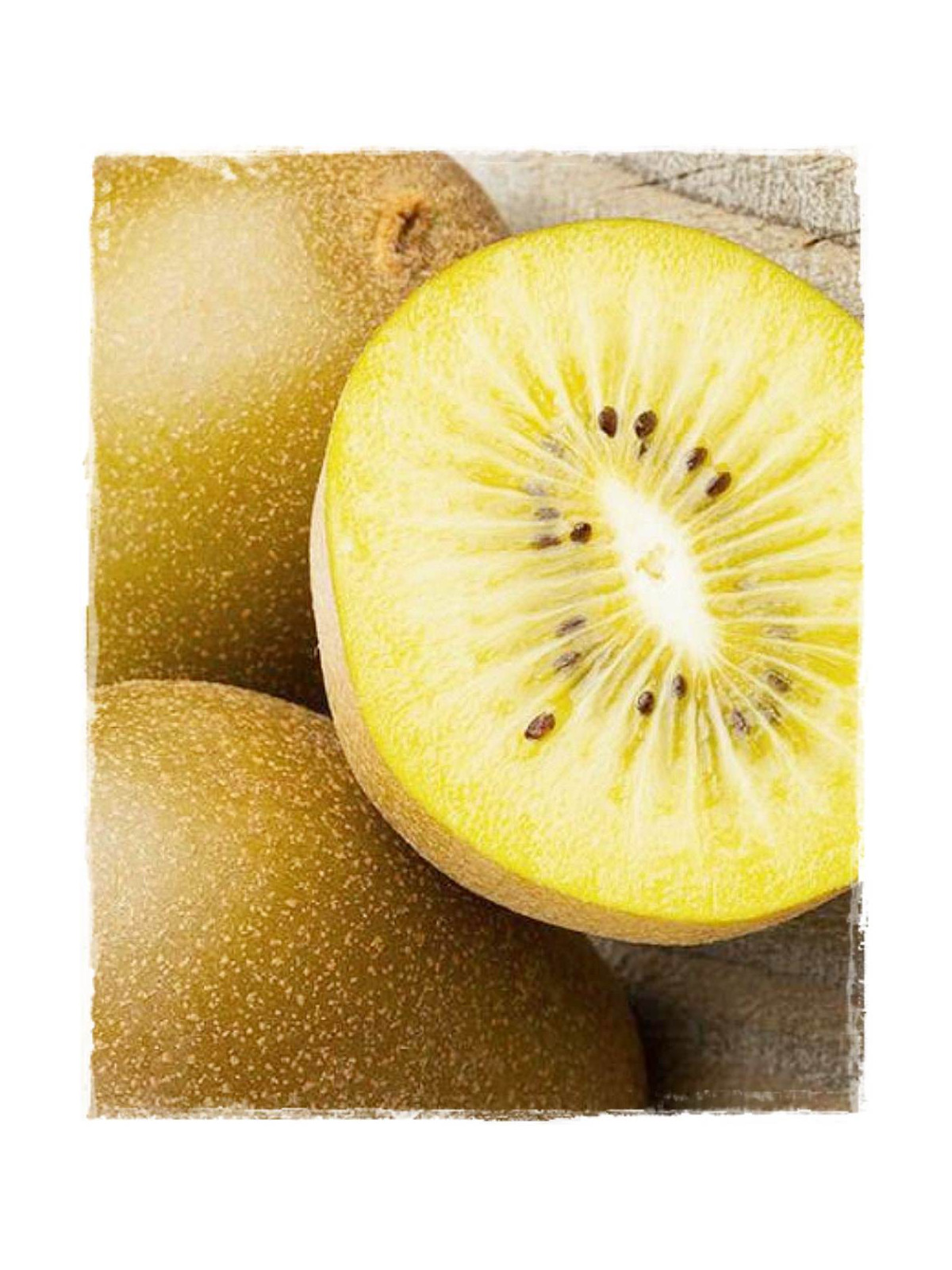 Actinidia deliciosa 'Golden delight' / Kiwi jaune / femelle