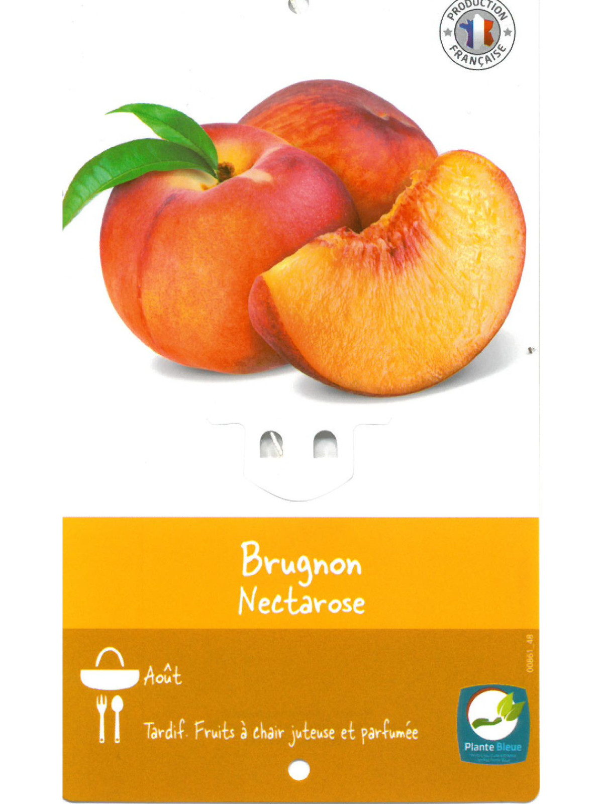 Prunus persica 'Nectarose' / Brugnonier à chair blanche