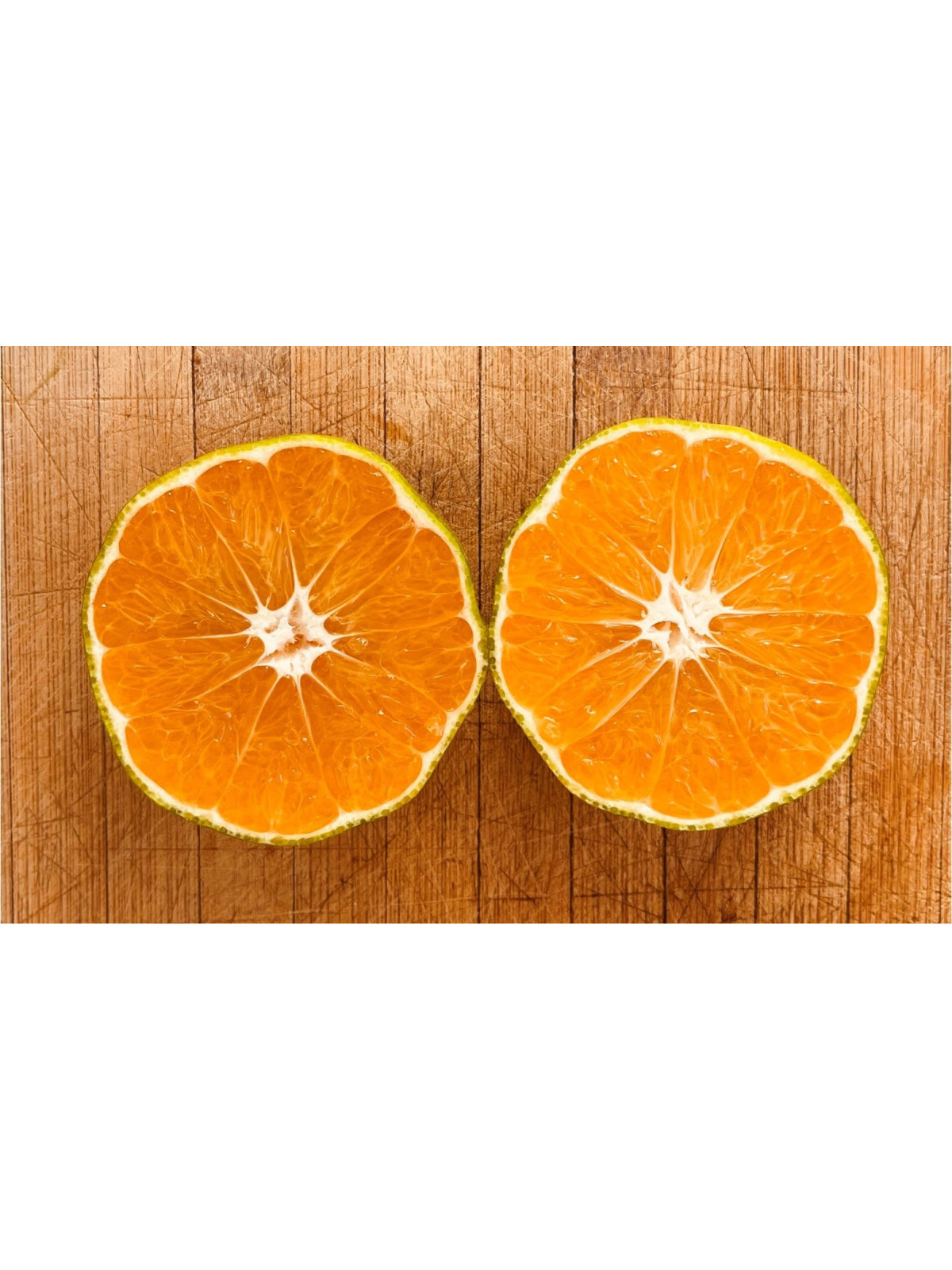 Citrus x unshiu 'Iwasaki®' / Mandarinier satsuma