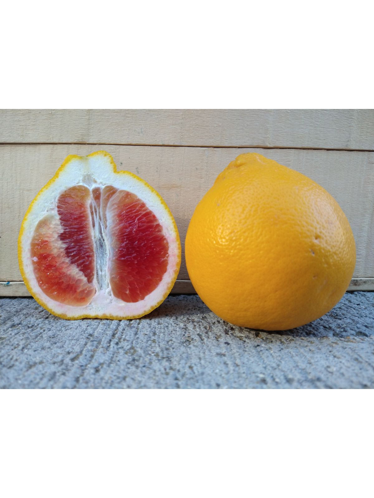 Citrus maxima Valentine / Pamplemousse